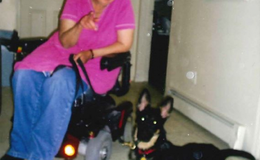 German Shepherd Puppies for Sale in Sacramento CA at Perfect German ...