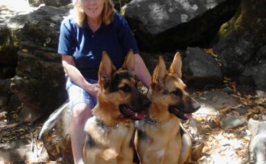 German Shepherd Puppies for Sale in Sacramento CA at Perfect German ...